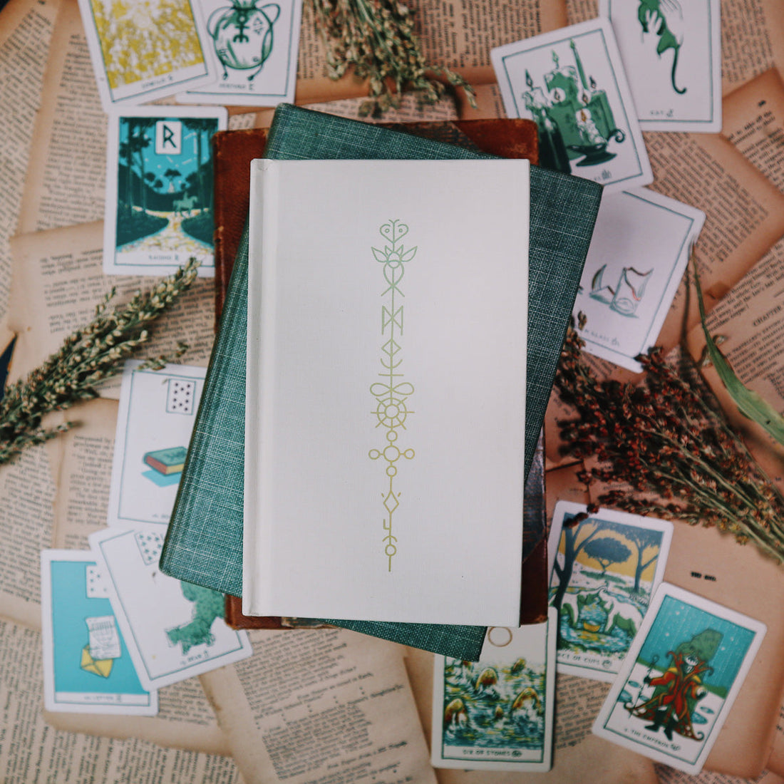 Closer Look: Glossary and Box Set – Prisma Visions